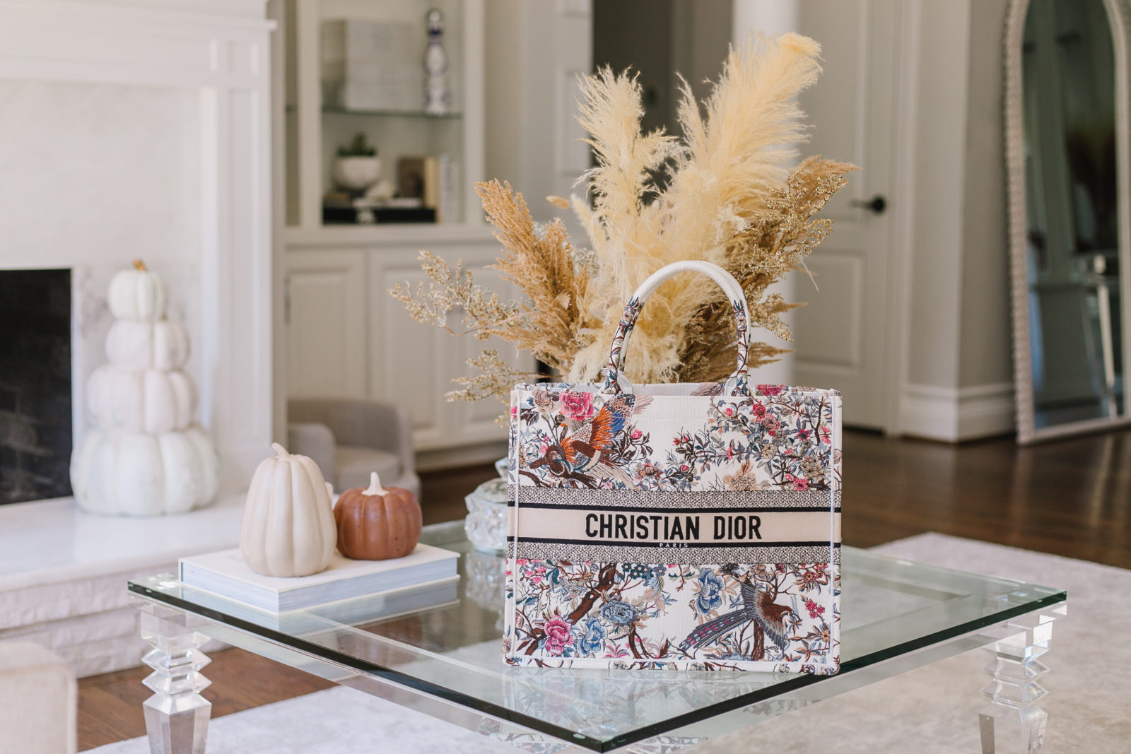 Dior Book Tote Review - Life with NitraaB