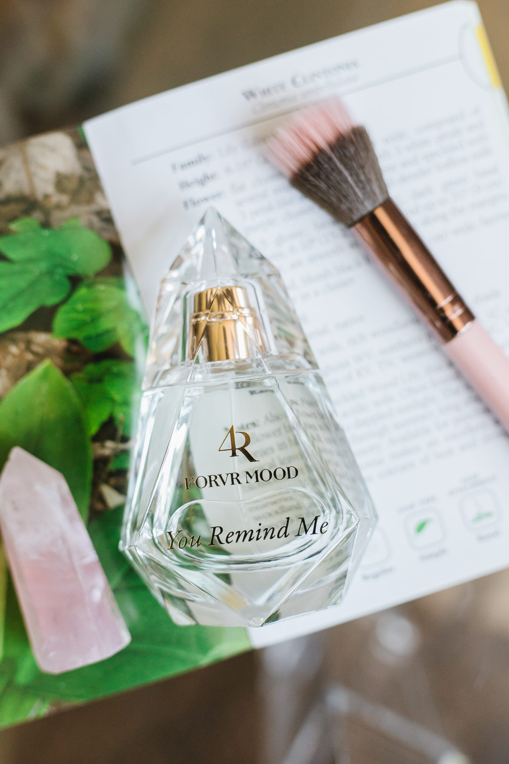 A Real Forvr Mood Perfume Review: Is It Worth Your Money? - Life with ...